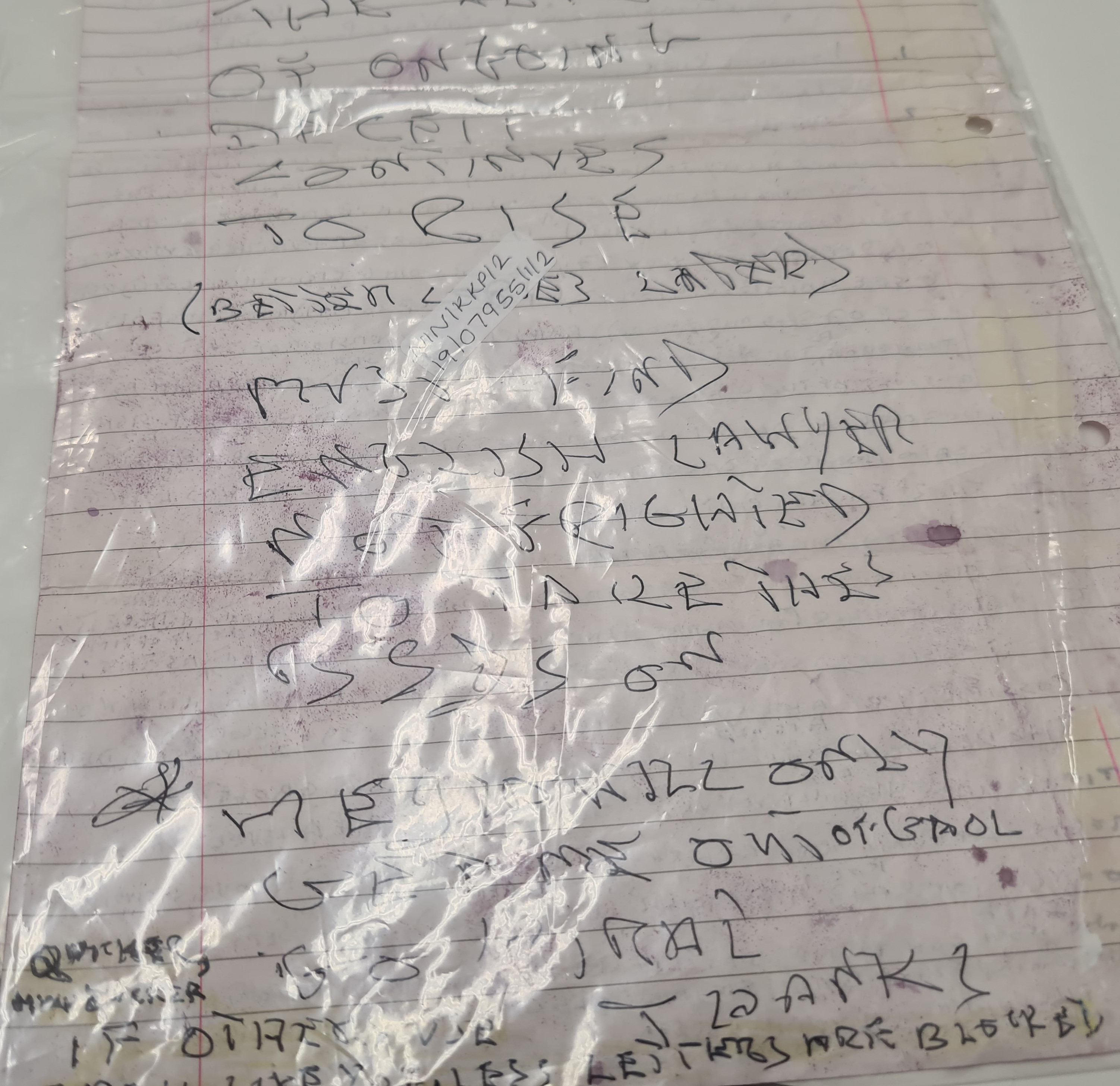 ‘Anthrax’ and ‘Heroin’ from Cardiff Prison to Alun Cairns MP | Flying ...